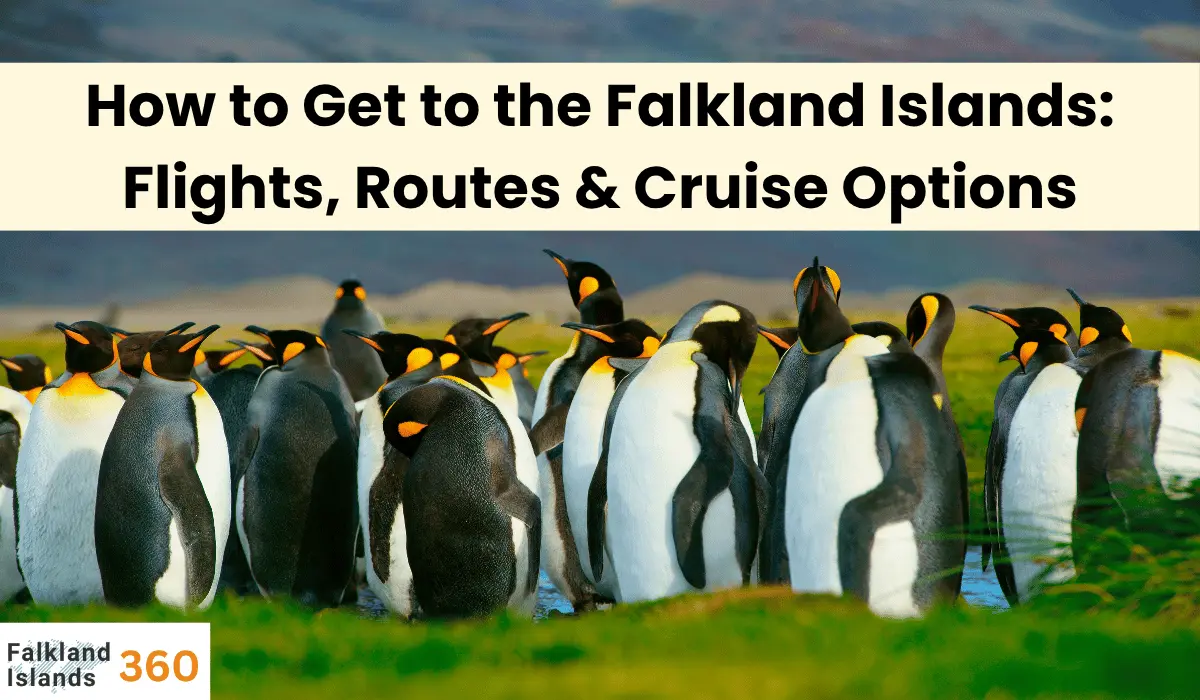 How to Get to the Falkland Islands: Flights, Routes & Cruise Options in ...